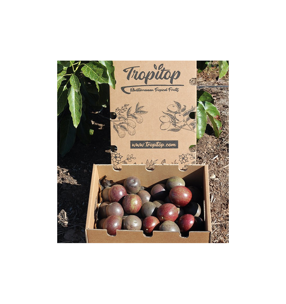 Comprar fruta de la pasión (Maracuyá) online