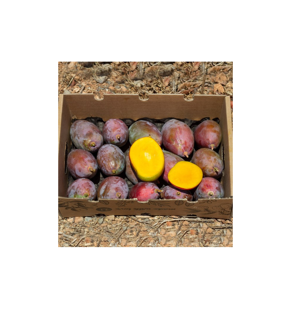 Buy mangoes online | The best selection of Fresh Mangos