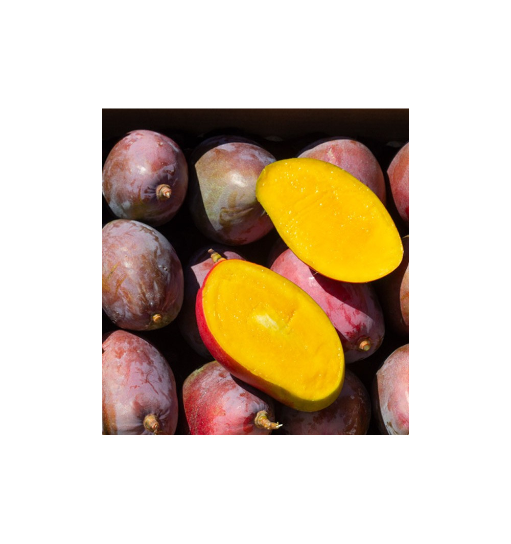 Buy mangoes online | The best selection of Fresh Mangos