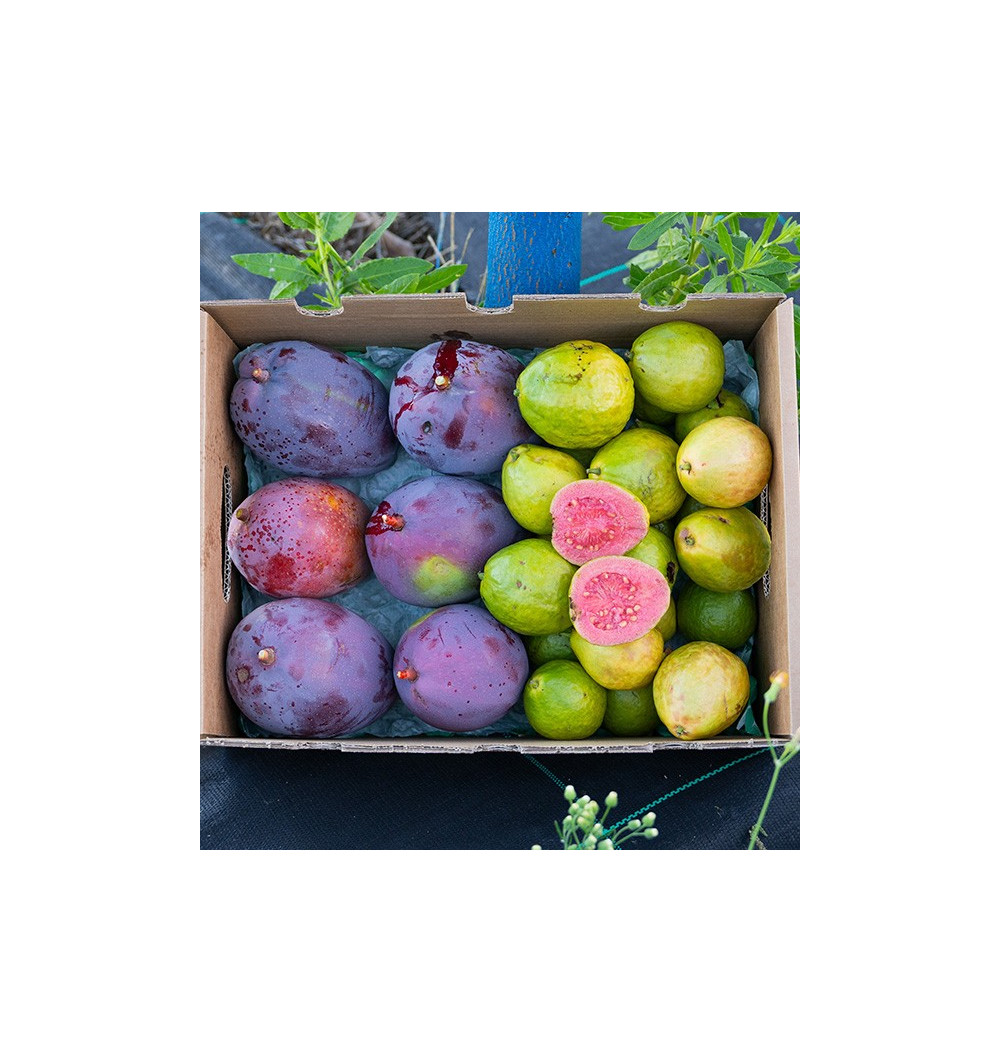 Buy Guavas and Mangos
