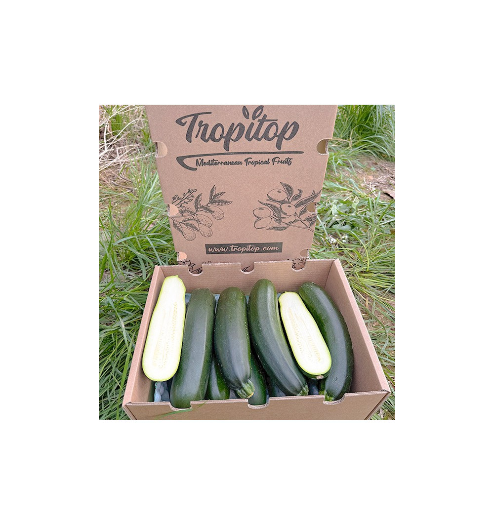 Acheter Courgette Verte ou Noire en Ligne sur Tropitop