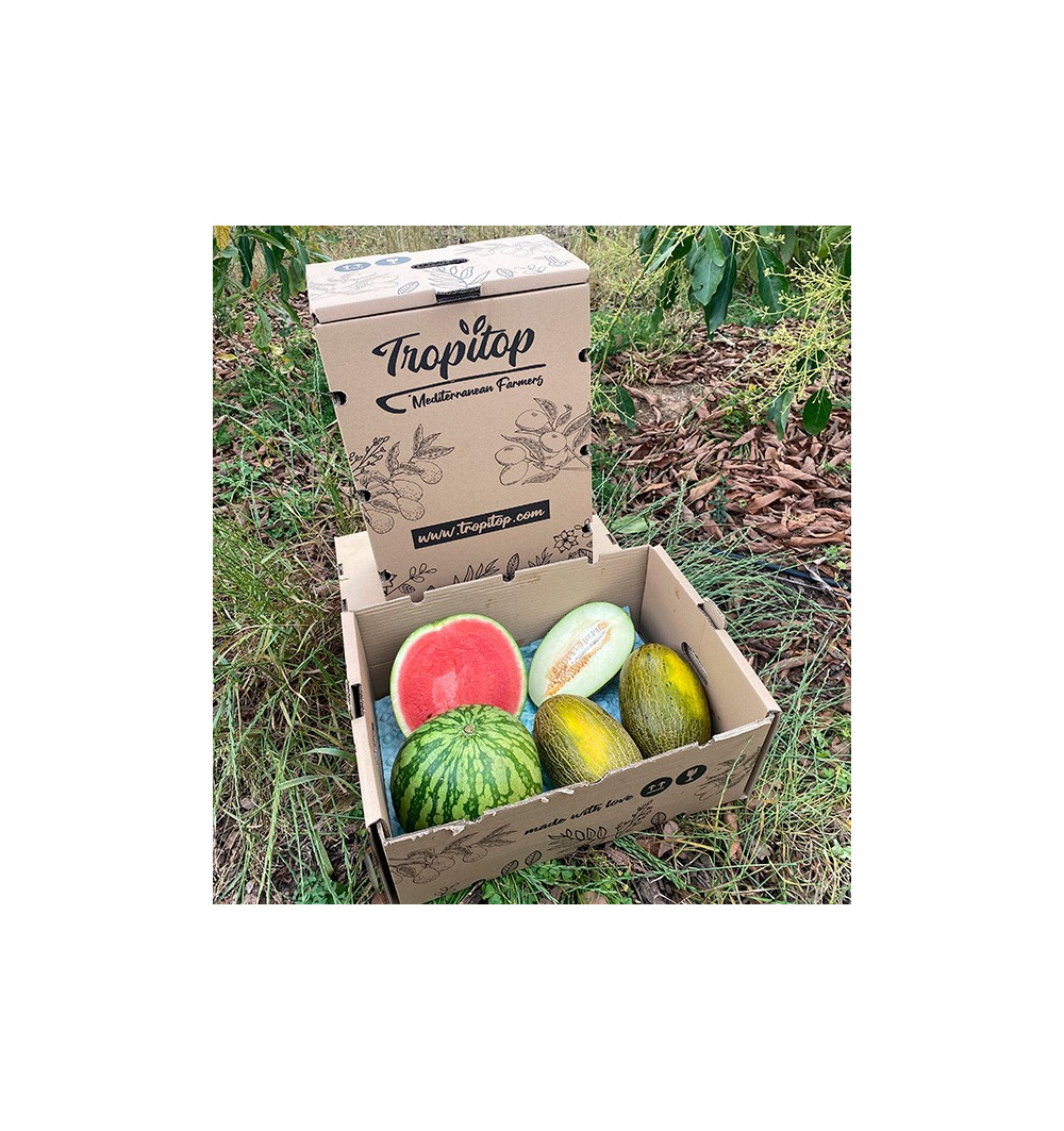 Comprar Sandía Rayada y Melones Piel de Sapo Online | Tropitop